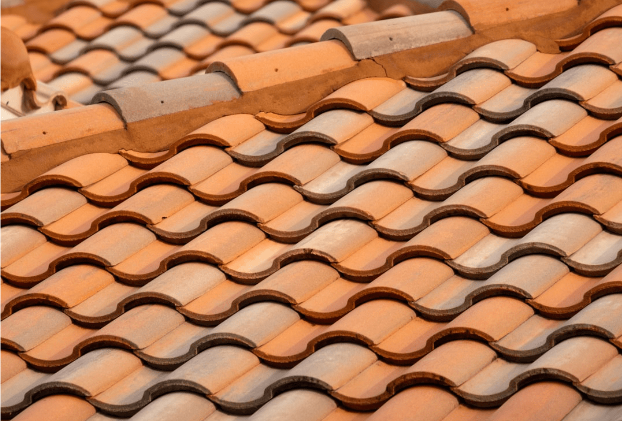 Roof Basics Every Homeowner Should Understand – Finn + Emma